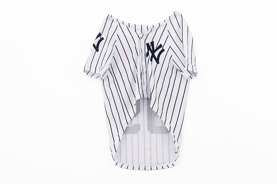 NEW YORK YANKEES CLASSIC PERRO